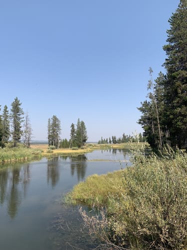 Best Hikes and Trails in Henrys Lake State Park | AllTrails