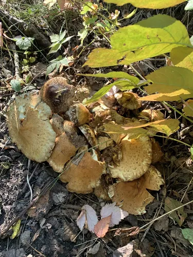 Best Hikes and Trails in Bittern Lake | AllTrails