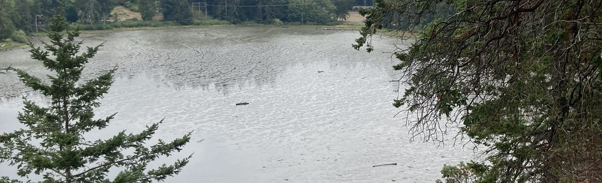 Goose Rock Perimeter Trail and Discovery Trail from Ranger Station ...