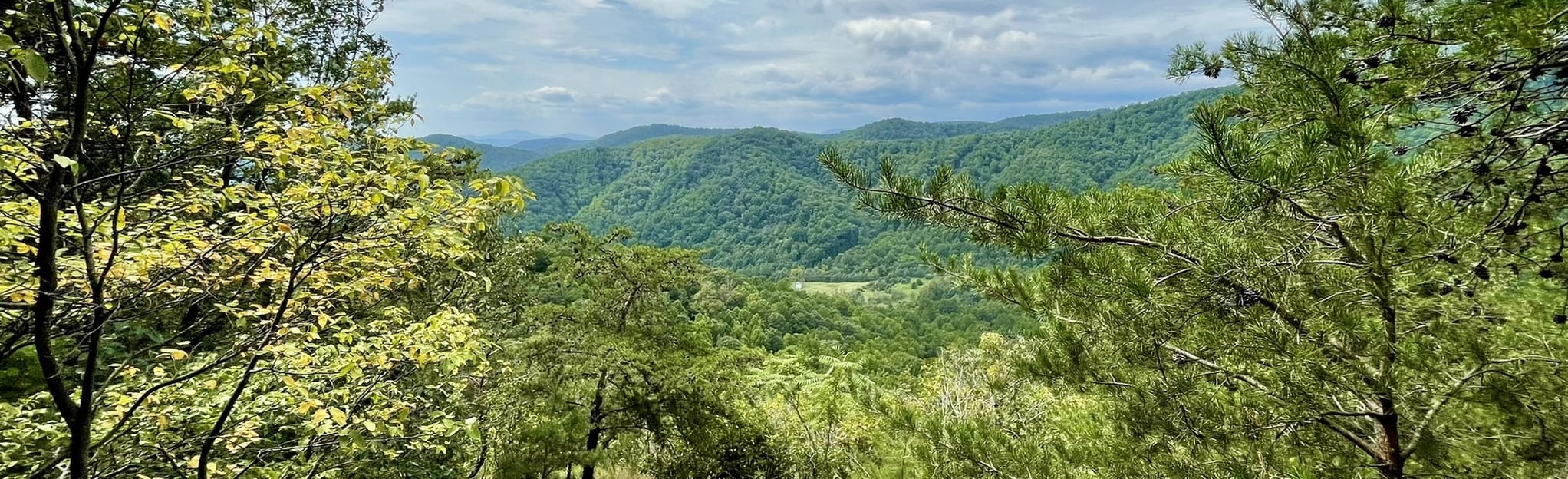 High Top Mountain and Woods Mountain Loop: 196 Reviews, Map - Virginia ...
