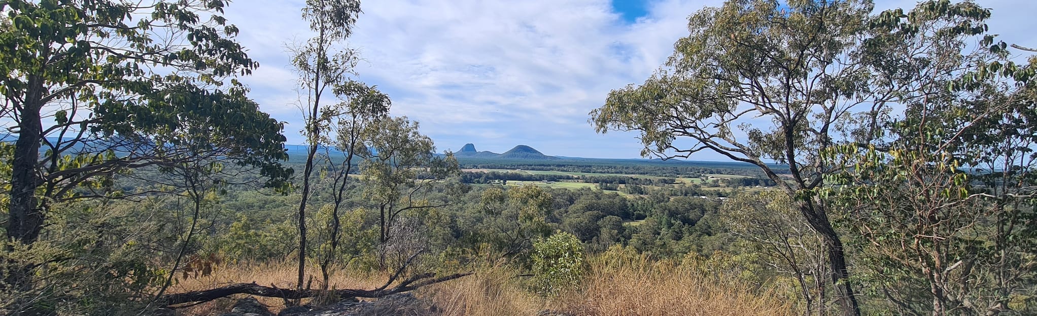 Mount Elimbah Track (Saddleback Mountain): 125 Reviews, Map ...