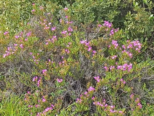 Best Hikes and Trails in Table Bay Nature Reserve | AllTrails