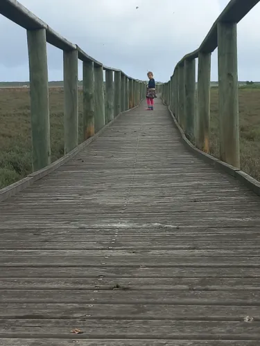 Best Hikes and Trails in Table Bay Nature Reserve | AllTrails