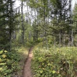 Greenstone Ridge Trail: Windigo to Tobin Harbor, Michigan - 64 Reviews ...