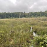 Greenstone Ridge Trail: Windigo to Tobin Harbor, Michigan - 69 Reviews ...