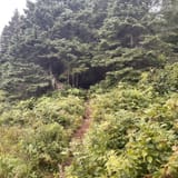 Greenstone Ridge Trail: Windigo to Tobin Harbor, Michigan - 69 Reviews ...