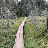 Greenstone Ridge Trail: Windigo to Tobin Harbor, Michigan - 64 Reviews ...