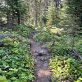 Greenstone Ridge Trail: Windigo to Tobin Harbor, Michigan - 67 Reviews ...