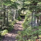 Greenstone Ridge Trail: Windigo to Tobin Harbor, Michigan - 67 Reviews ...