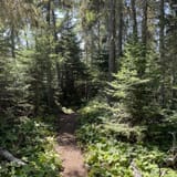 Greenstone Ridge Trail: Windigo to Tobin Harbor, Michigan - 67 Reviews ...