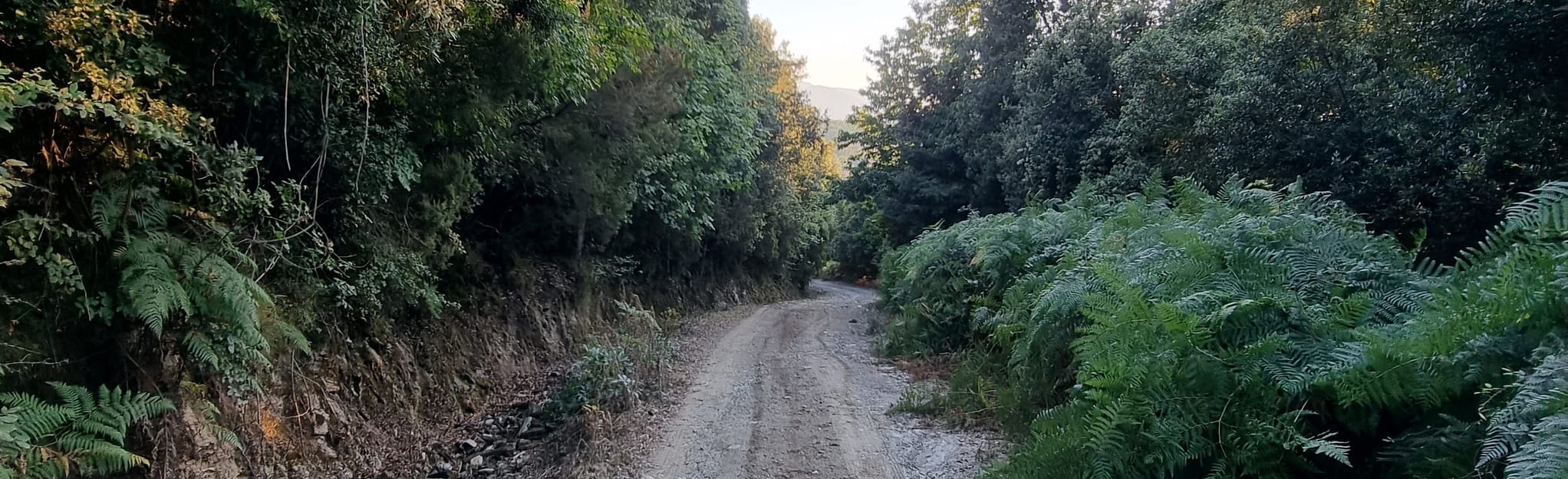 Rutali - Monte Tornicella | Map, Guide - Haute-Corse, France | AllTrails