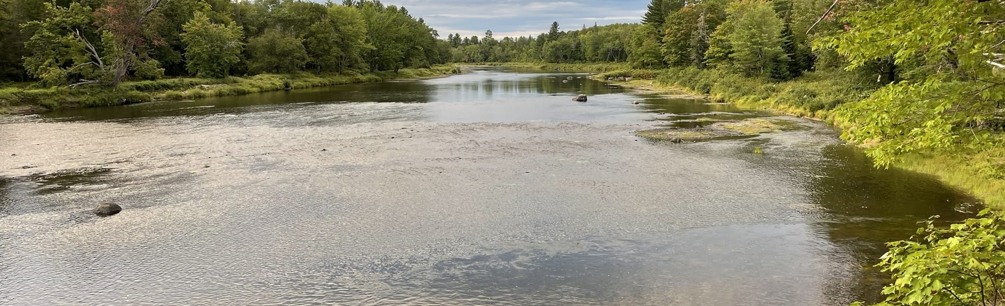 Penobscot River Trails, Maine - 74 Reviews, Map | AllTrails