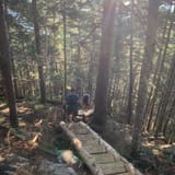 Grafton Loop Trail, Maine - 80 Reviews, Map | AllTrails