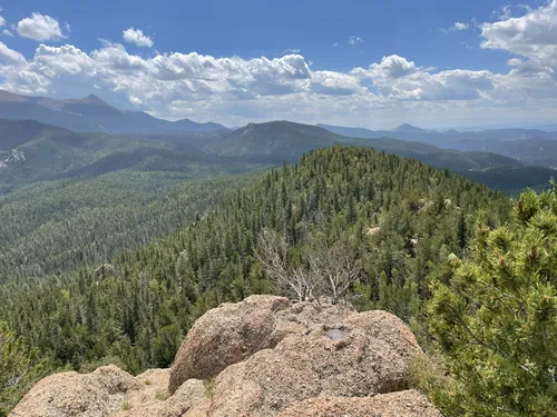 10 Best Forest Trails in Pike National Forest | AllTrails
