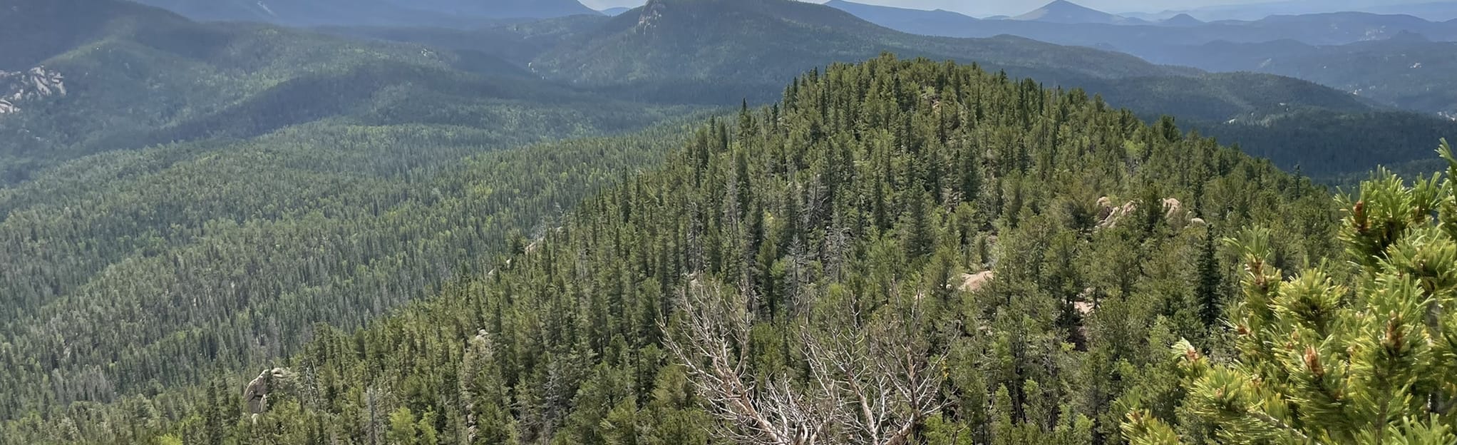 Raspberry Mountain Trail via Ring the Peak Trail, Colorado - 1,748 ...