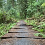 Irely Lake Trail, Washington - 117 Reviews, Map | AllTrails