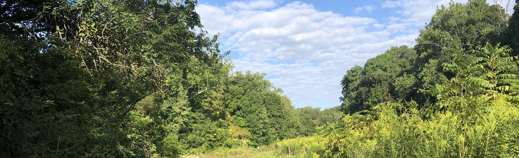 Yellow Trail Loop: 476 foto's - Ohio | AllTrails