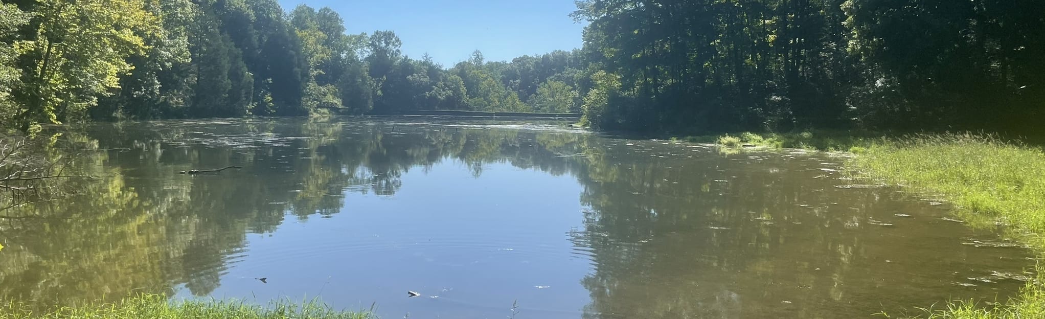 Saunders Springs Reservoir Loop, Kentucky - 113 Reviews, Map | AllTrails