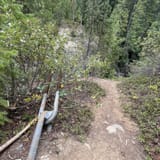 Agnes Gorge Trail, Washington - 131 Reviews, Map | AllTrails