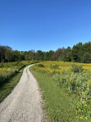 Best Hikes and Trails in Addison Oaks County Park | AllTrails