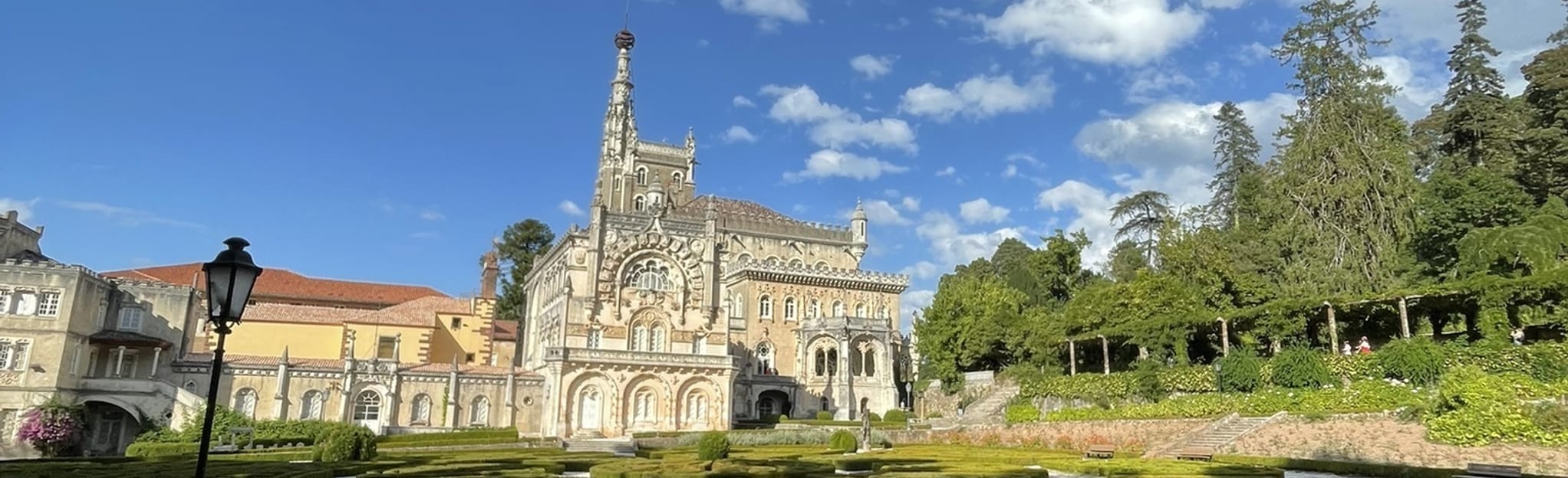 Reise durch die Seen des Buçaco National Forest - Aveiro, Portugal ...