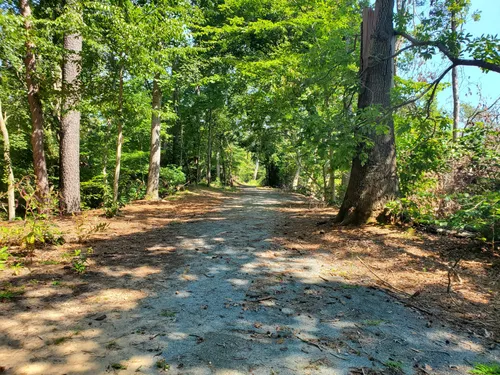 10 Best Trails and Hikes in Dover | AllTrails