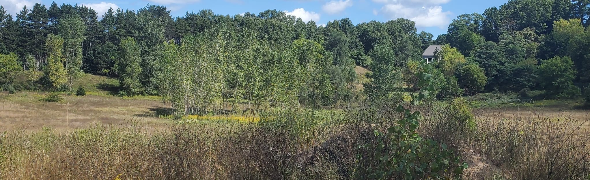 Crahen Valley Park Loop, Michigan - 1,261 Reviews, Map | AllTrails