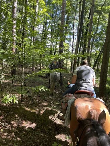 Best Hikes and Trails in Boston Forest County Park | AllTrails