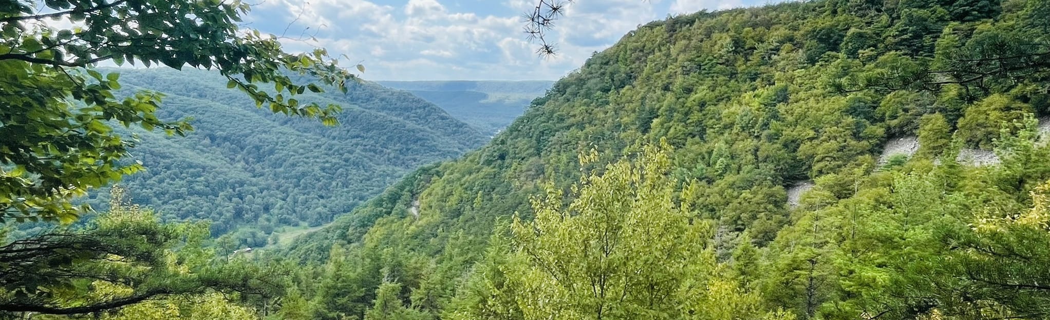 Thousand Steps: 1097 Reviews, Map - Pennsylvania | AllTrails