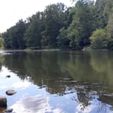 Komoka Provincial Park Loop, Ontario, Canada - 208 Reviews, Map | AllTrails