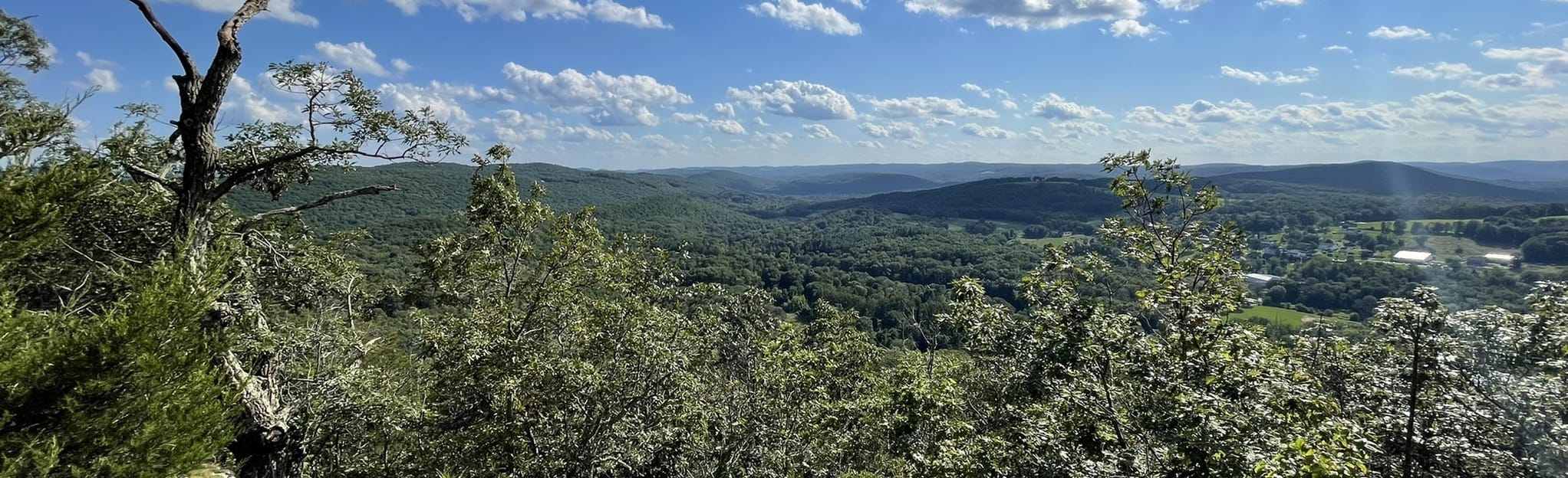 Bull Mountain Trail Loop: 69 Reviews, Map - Connecticut | AllTrails