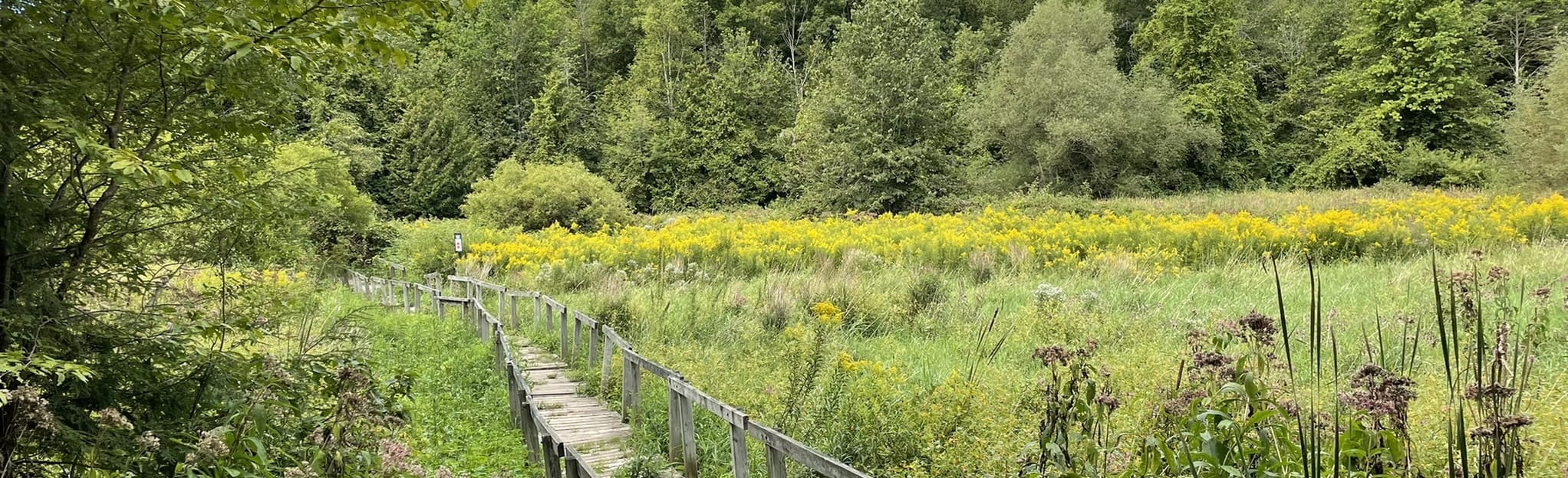 Scanlon Creek: Inner Loop: 231 Fotos - Ontario, Kanada | AllTrails