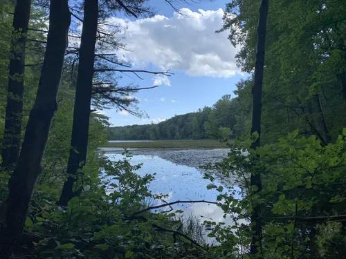 Best Lake Trails in Chenango Valley State Park | AllTrails