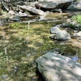 Avalon Loop Trail, Maryland - 293 Reviews, Map | AllTrails