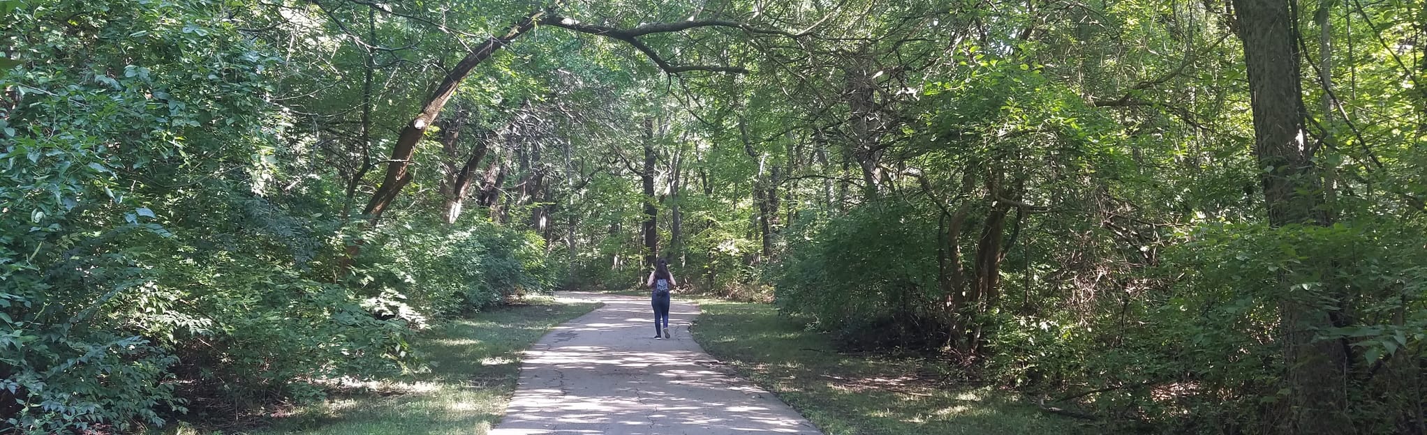 Rolling Ridge Trail: 42 Reviews, Map - Kansas | AllTrails