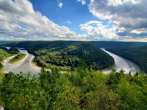 2023 Best Wild Flowers Trails in Saint-Alexis-de-Matapedia | AllTrails