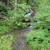 Manitou Point Preserve Trail, New York - 282 Reviews, Map | AllTrails