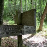 Little Cataloochee Trail, North Carolina - 158 Reviews, Map | AllTrails