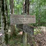 Little Cataloochee Trail, North Carolina - 162 Reviews, Map | AllTrails