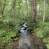 Little Cataloochee Trail, North Carolina - 162 Reviews, Map | AllTrails