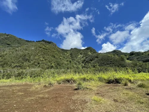 Best 10 Hiking Trails in Honolulu Watershed Forest Reserve | AllTrails