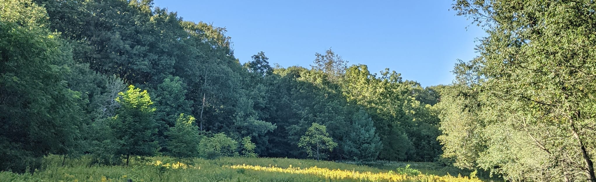 Moraine Ridge Trail and Plantation Path Loop - Wisconsin | AllTrails