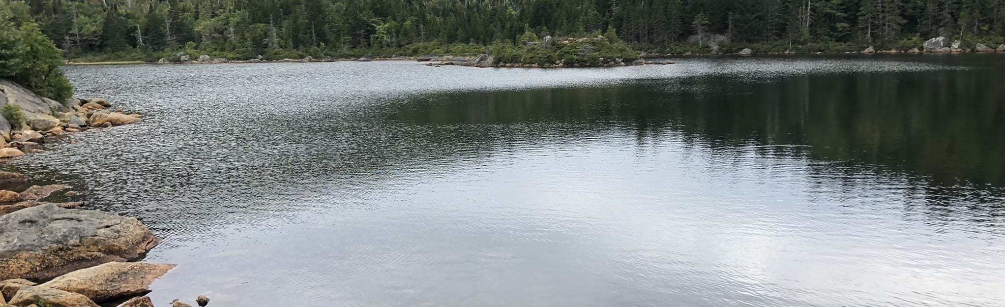 Parker Ridge Trail, Maine - 42 Reviews, Map | AllTrails