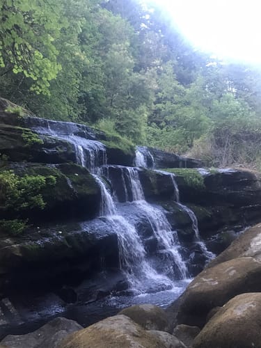 Best Hikes and Trails in Lane County Park | AllTrails