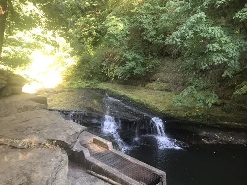 Best Hikes and Trails in Blachly | AllTrails