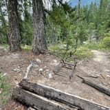 Agnes Gorge Trail, Washington - 131 Reviews, Map | AllTrails