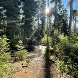 Hyas Lake Trail, Washington - 218 Reviews, Map | AllTrails