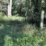 High Point Trail and Rock Top, Illinois - 157 Reviews, Map | AllTrails