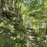 High Point Trail and Rock Top, Illinois - 157 Reviews, Map | AllTrails