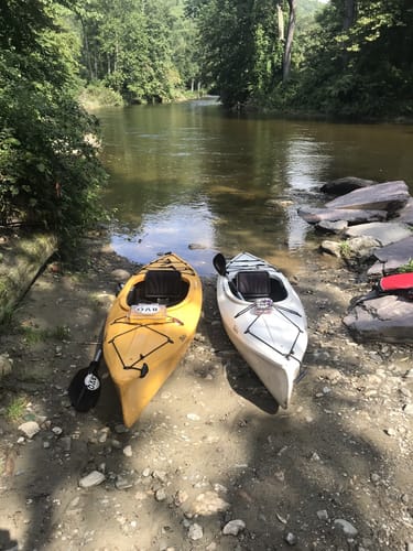 Best Hikes and Trails in Arlington Recreation Park | AllTrails